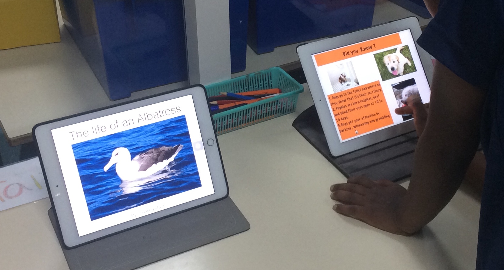 Is it worth becoming recognized as an Apple Teacher? – Education Rickshaw